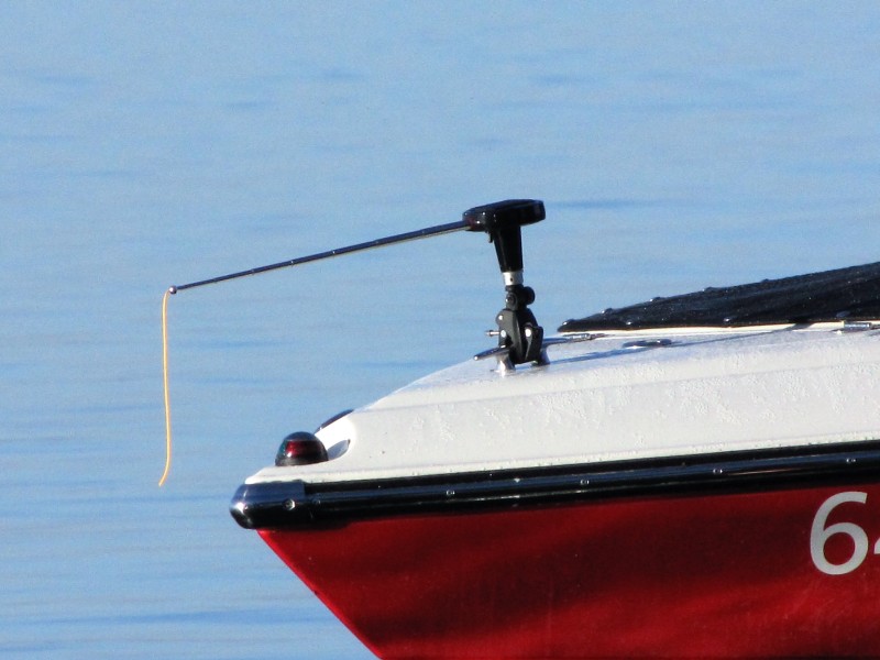 BirdBoggle | Möwen-Abwehr | Elektrische Vogelscheuche | Boot Möwenabwehr